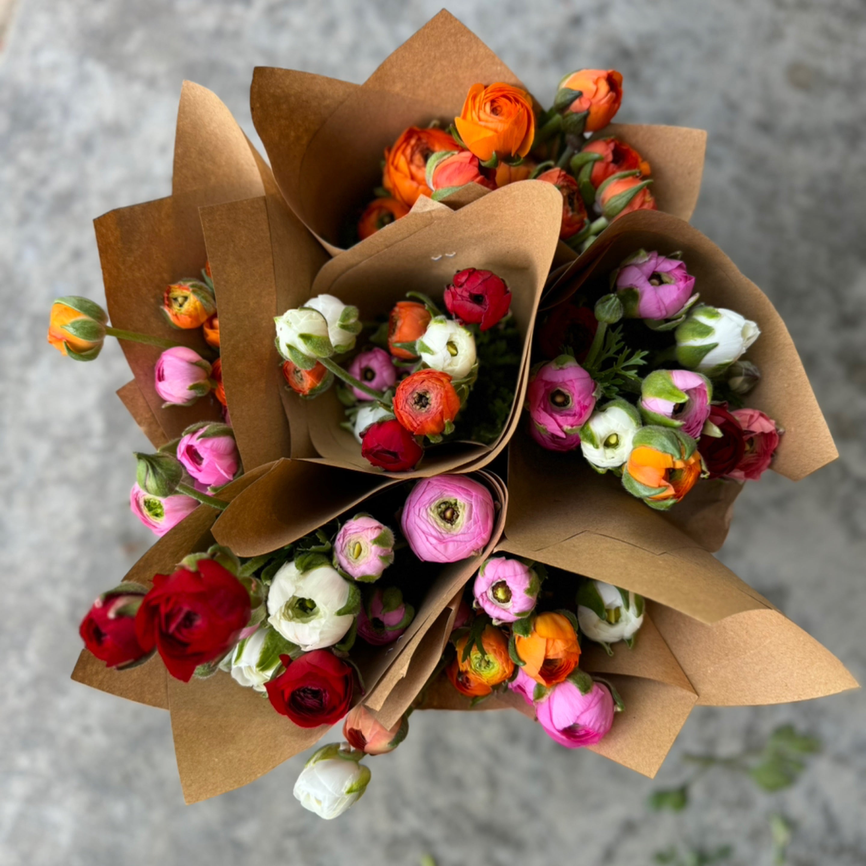 Ranunculus Bunch | eleven roots flower + farm